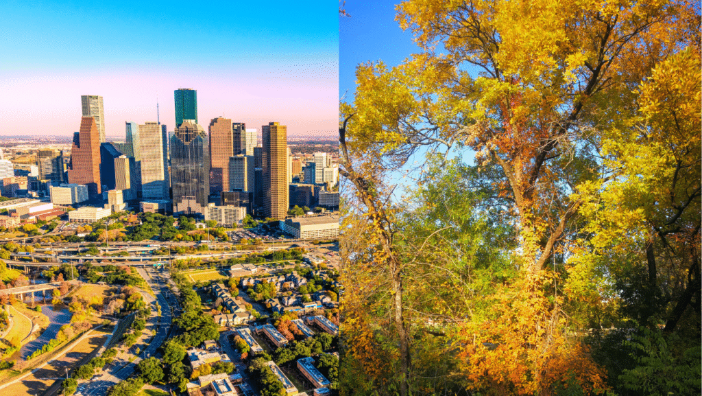 Best Fall Things to Do in Houston with Kids 2025 | Holly in Houston
